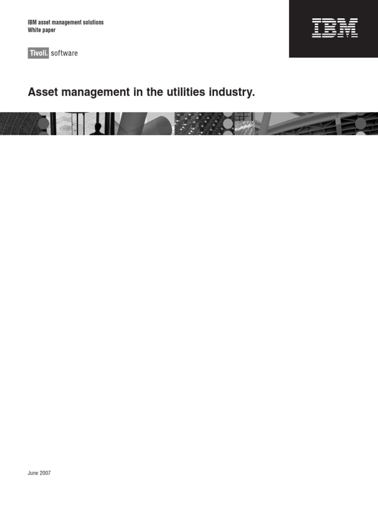 Asset Management in The Utilities Industry | PDF | Business Process ...