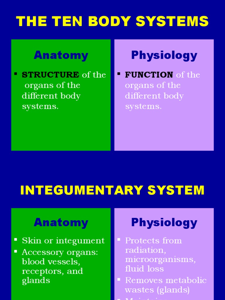 Anatomy Physiology: The Ten Body Systems | PDF | Human Body | Zoology