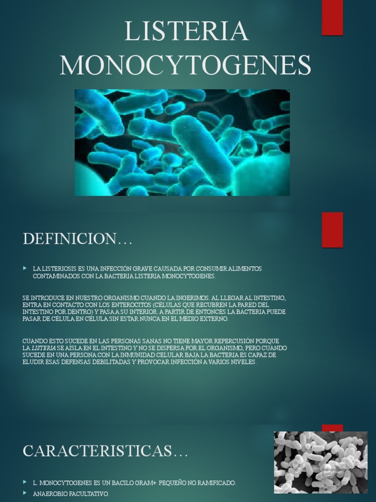Listeria Monocytogenes Pdf – Listeria Monocytogenes – CGKWYM