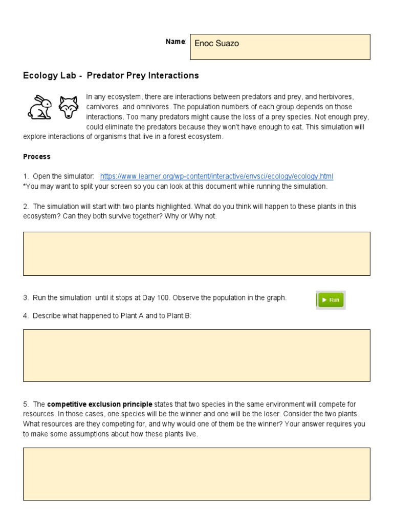 Ecology Lab: Predator-Prey Dynamics | PDF | Predation | Herbivore