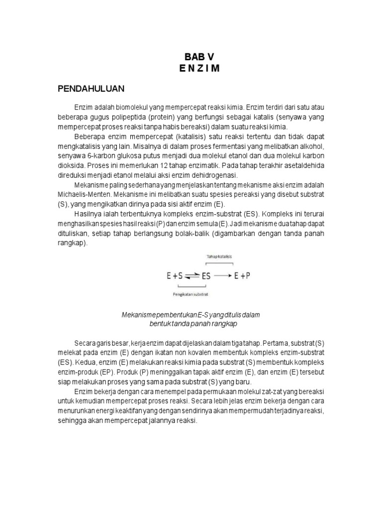 Modul Biokimia-Enzim | PDF | Sains & Matematika