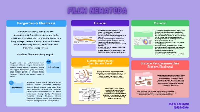 Ulfa Zahrani (1202060106) 3C - Mind Map Filum Nematoda | PDF