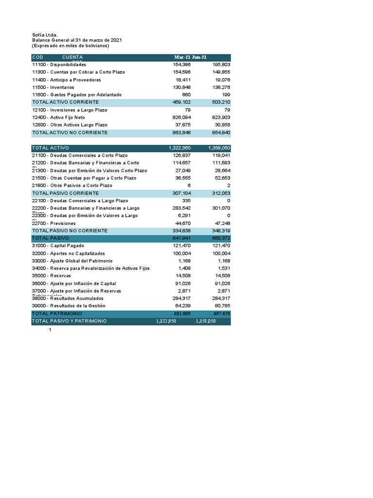 Balance General Sofia 2021 | PDF | Hoja de balance | Corporaciones