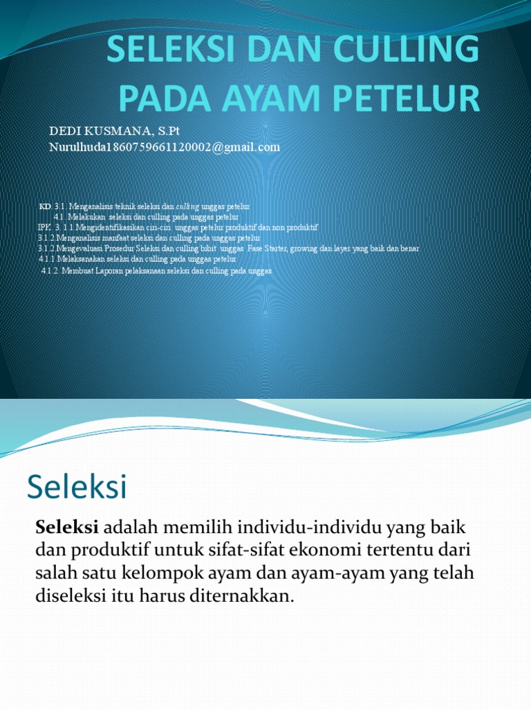Seleksi dan Culling Ayam Petelur | PDF