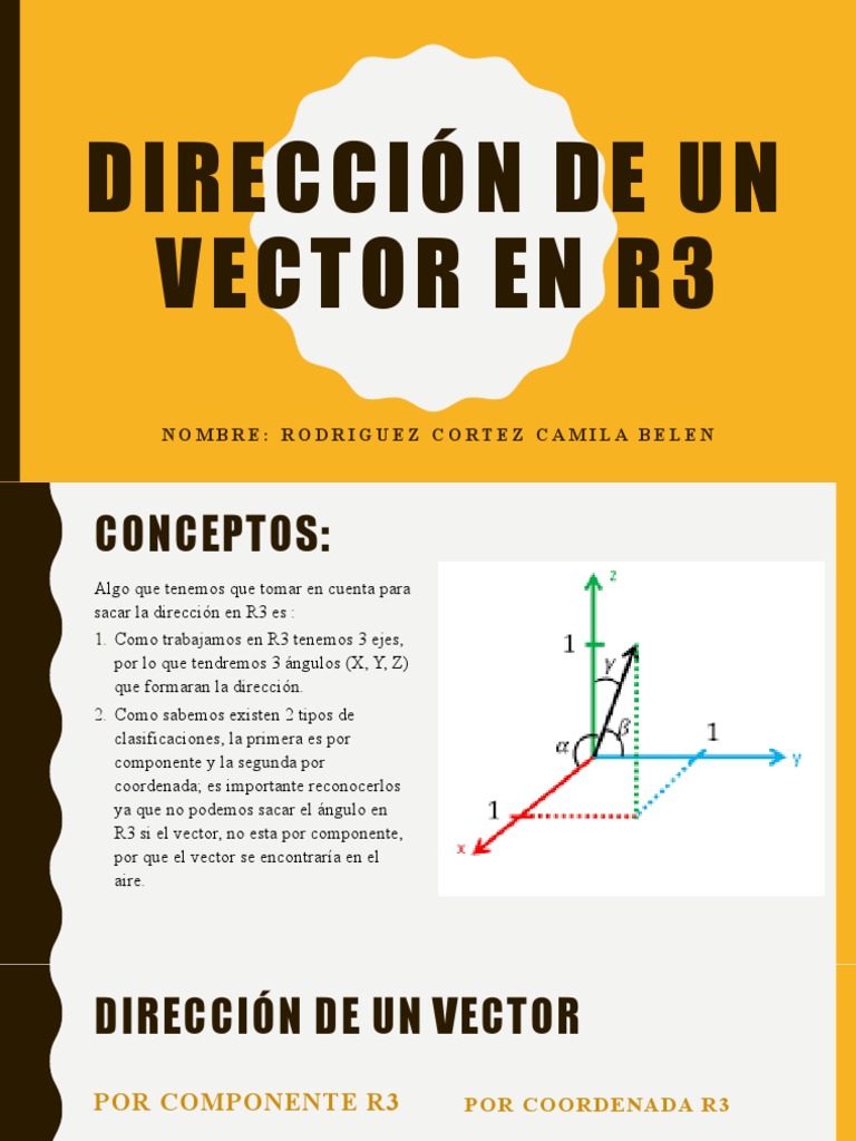 Dirección de Un Vector en r3 | PDF | Vector Euclidiano | Geometría