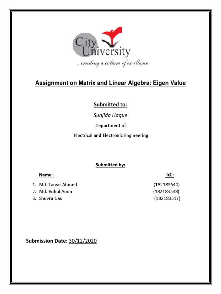 Assignment On Matrix | PDF | Eigenvalues And Eigenvectors | Matrix Theory