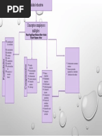 Diagrama de Flujo DFP - SENA | PDF | Enseñando | Pedagogía
