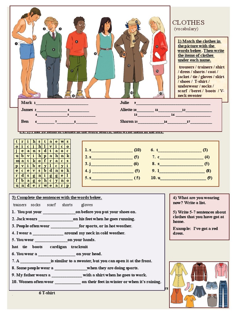 Clothes Vocabulary and Exercises | PDF | Sweater | Clothing