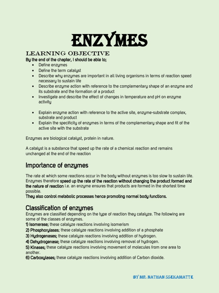 Enzymes . | PDF | Enzyme | Catalysis