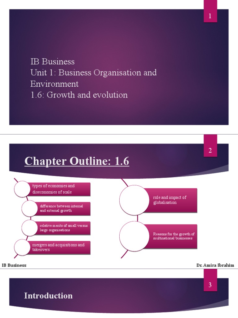 IB Business Unit 1: Business Organisation and Environment 1.6: Growth ...