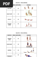 GPP Program Series 1 | PDF