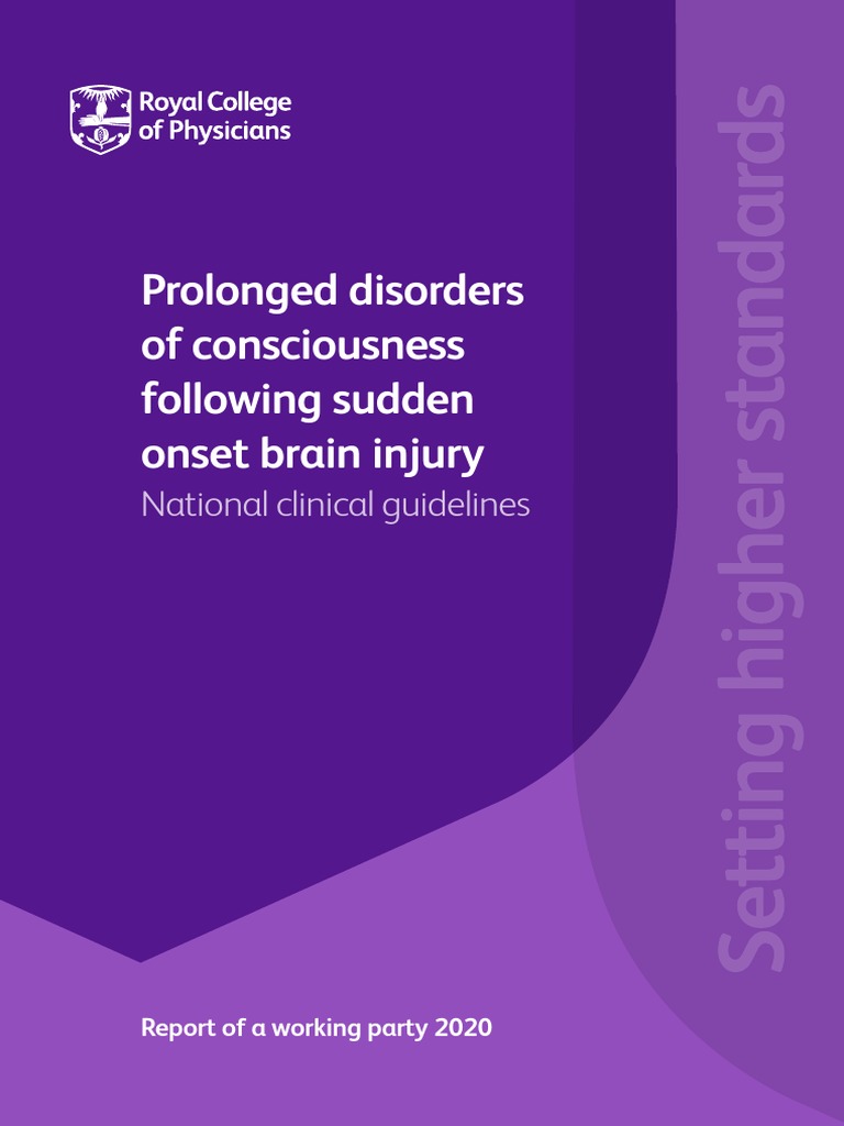 PDOC Guidelines Final Online 0 0 | PDF | Physical Therapy | Medical ...