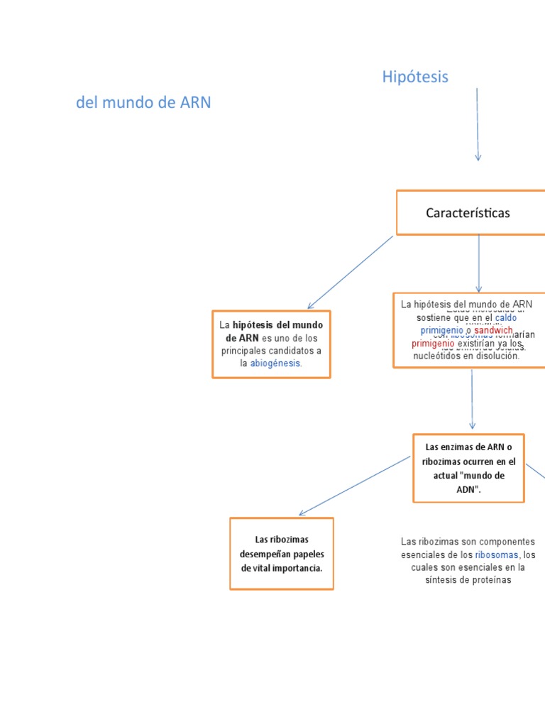 Hipótesis Del Mundo de ARN | PDF