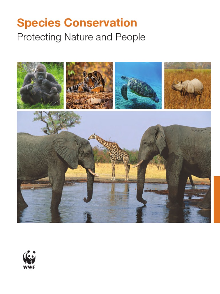 WWF Species Conservation | PDF | World Wide Fund For Nature ...