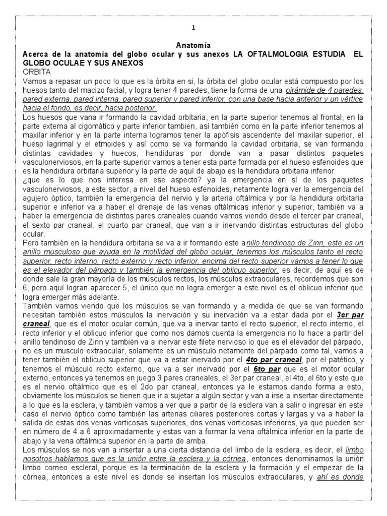 1 Oftalmo Anatomia | PDF | Percepción visual | Órganos sensoriales