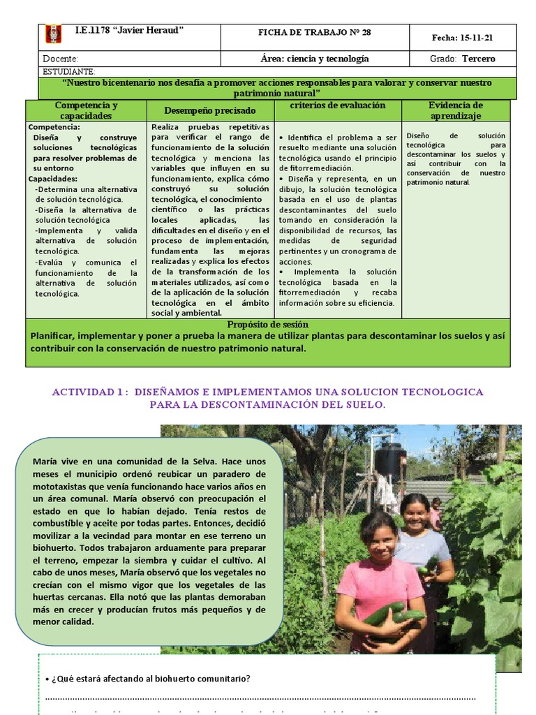 Cyt3 FT 28 | PDF | Contaminación | Suelo