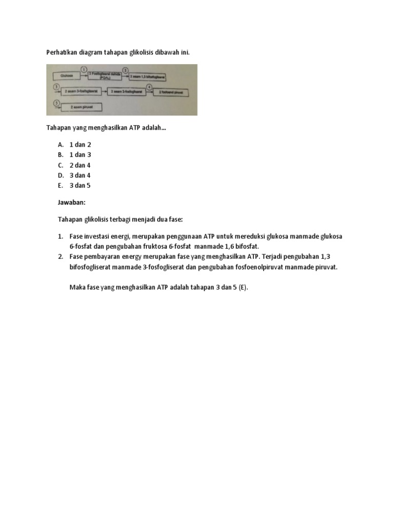 Soal Glikolisis | PDF | Sains & Matematika