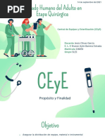 MANUAL CEyE PDF | PDF | Hospital | Enfermería
