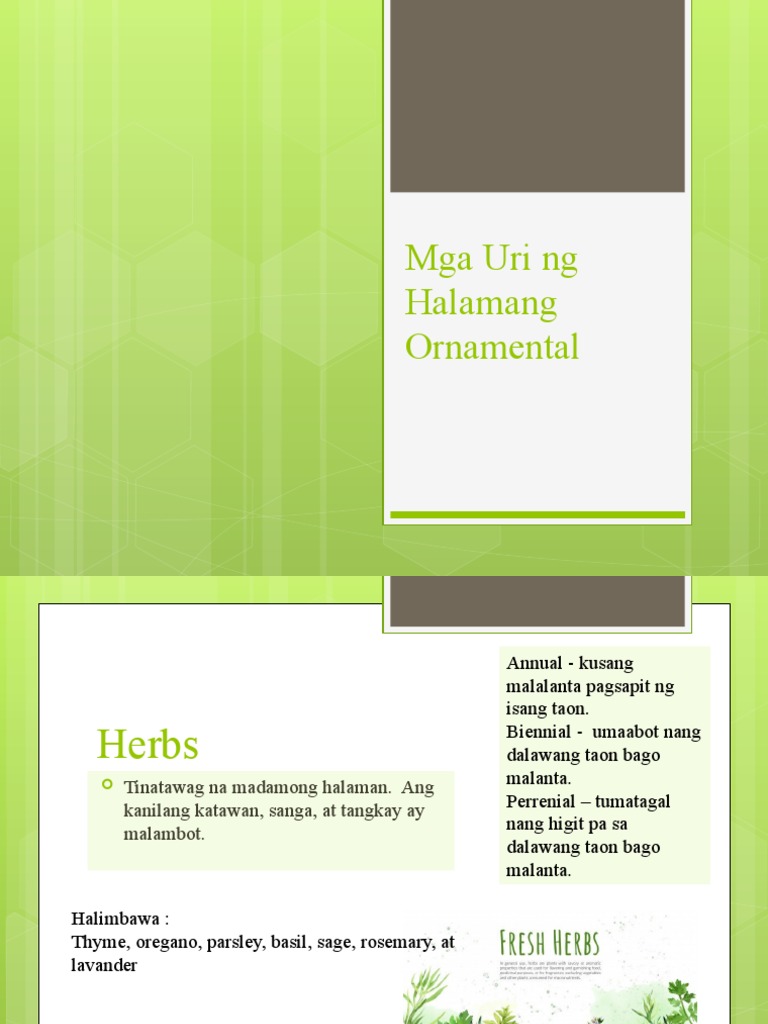 Mga Uri NG Halamang Ornamental | PDF