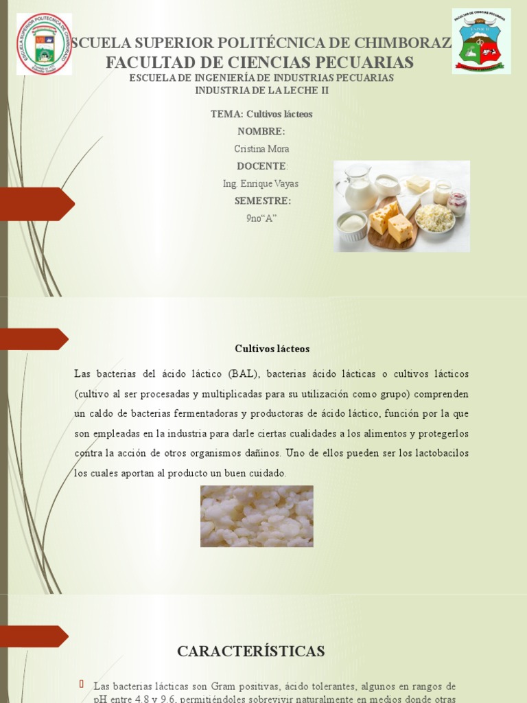 Cultivos Lacticos | PDF | Biología | Comida y bebida
