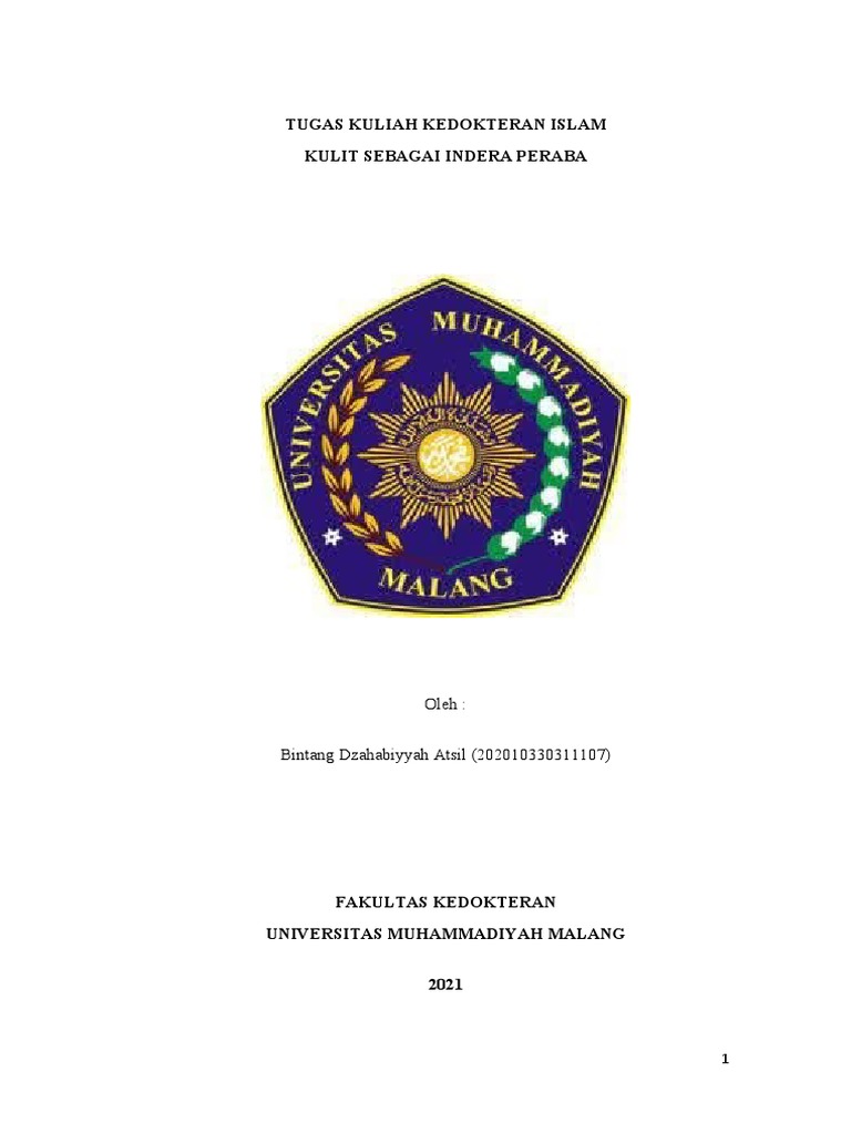 Kulit Sebagai Indra Peraba Manusia | PDF