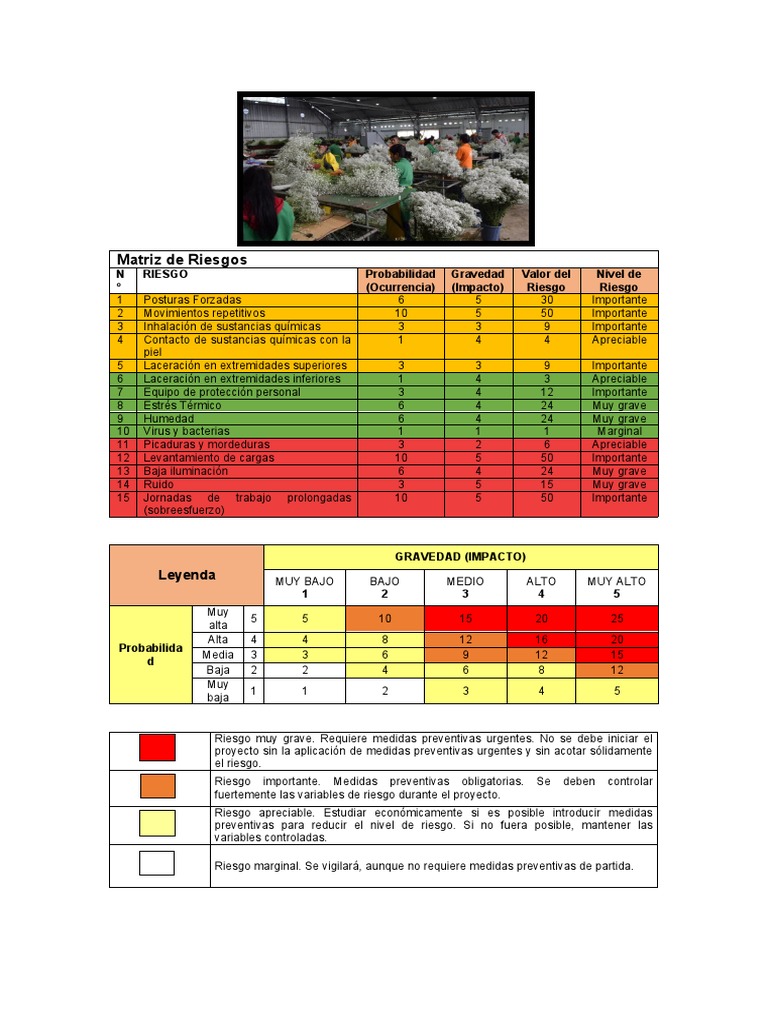 Metodo William Fine | PDF | Riesgo | Probabilidad