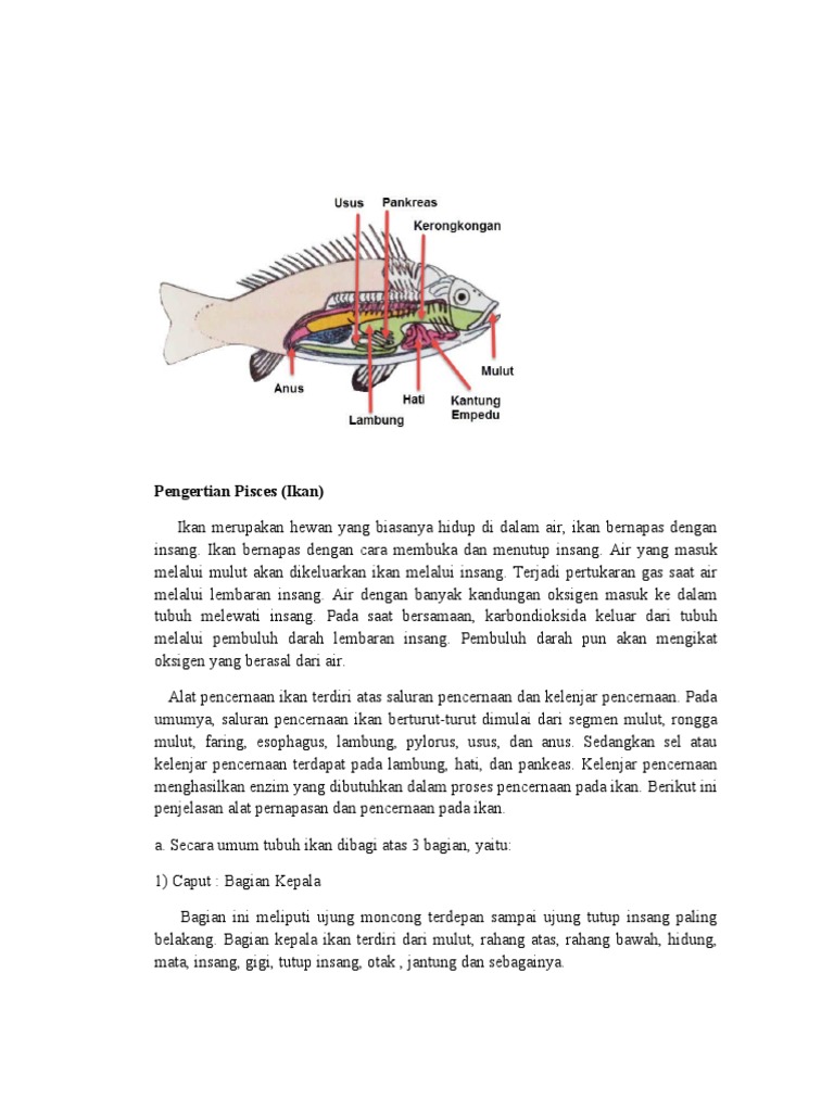 Struktur dan Fungsi Ikan Pisces | PDF | Sains & Matematika