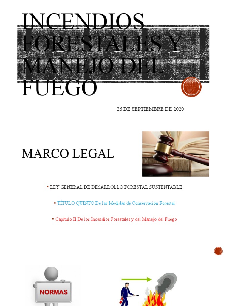 Incendios Forestales y Manejo Del Fuego | PDF | Fuego fatuo | México