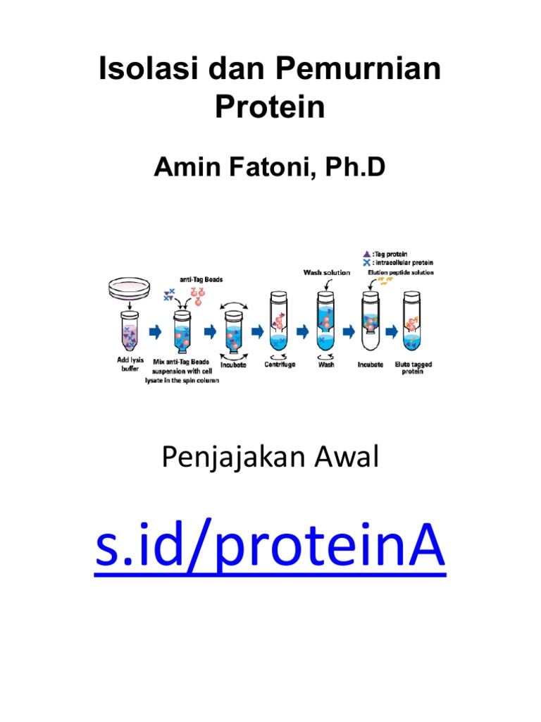 Isolasi Dan Pemurnian Protein | PDF