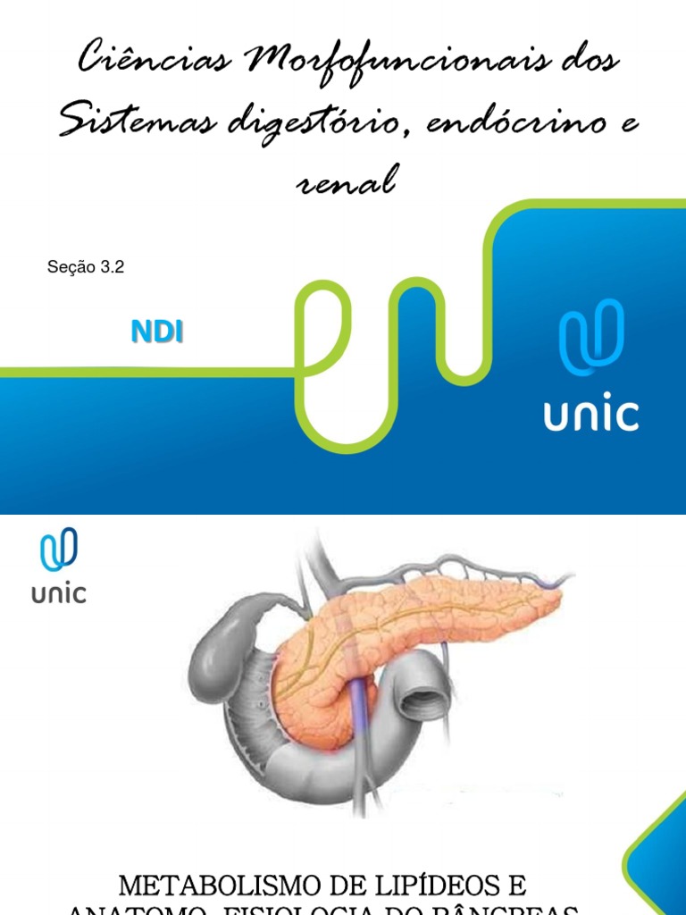 Ciências Morfofuncionais Dos Sistemas Digestório, Endócrino e Renal ...
