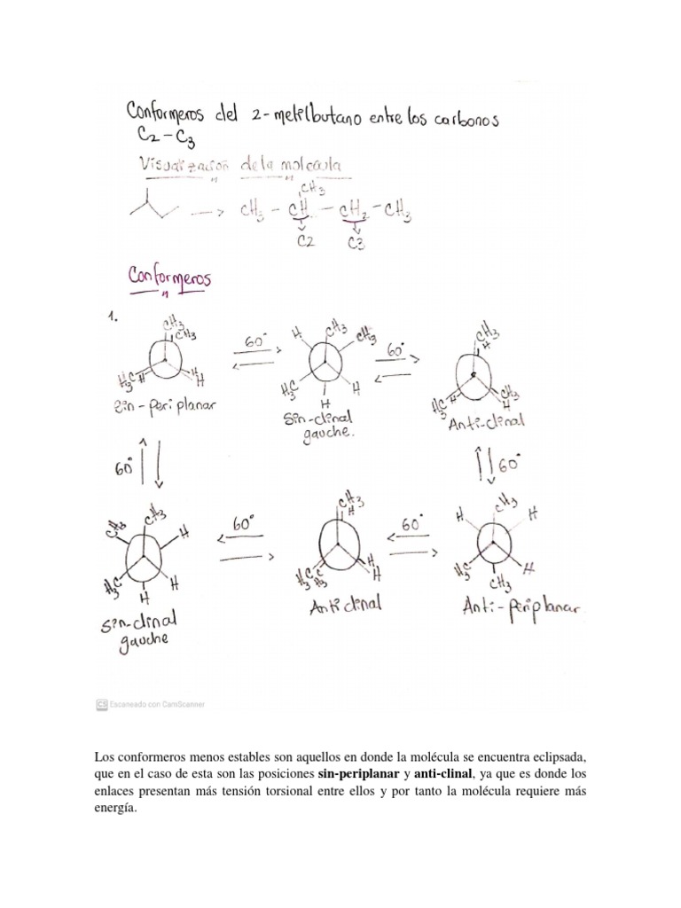 Análisis conformacional del 2-metilbutano | PDF | Isomerismo ...