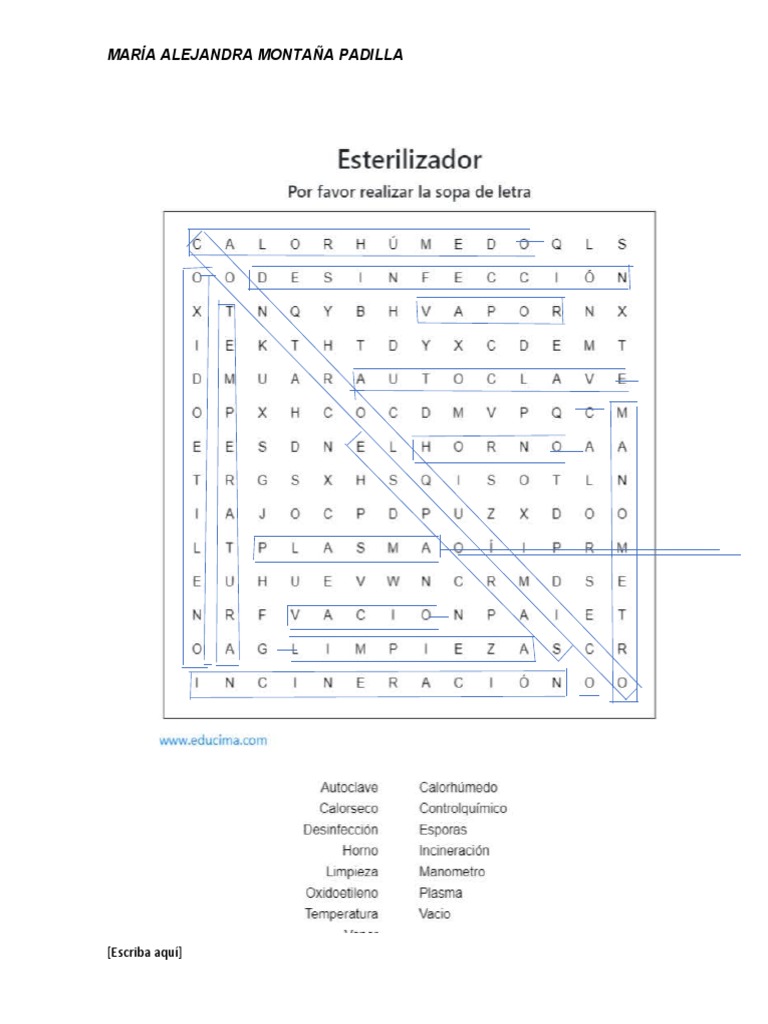 Taller en Clase Sopa de Letras | PDF | Esterilización (Microbiología ...