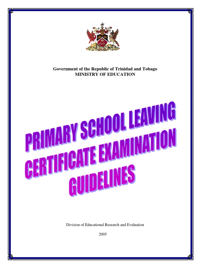 PSLCE Guidelines | PDF | Area | Volume