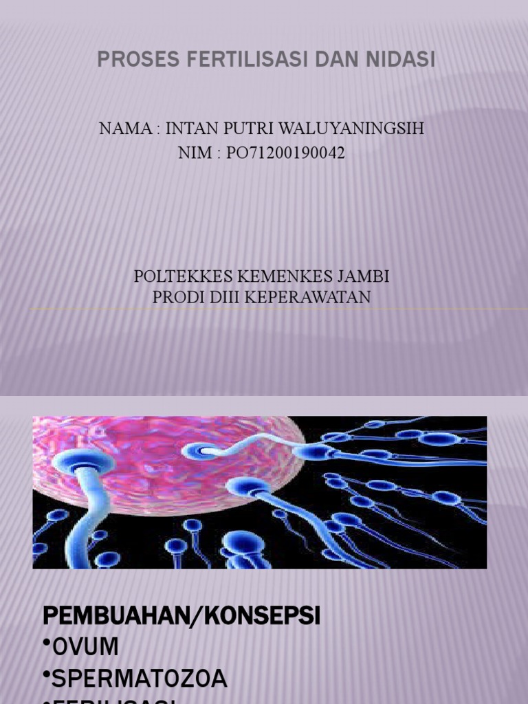 Bebytp (Proses Fertilisasi Dan Nidasi) | PDF