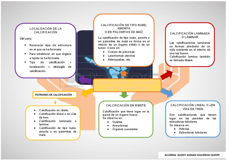 Tipos de Calcificaciones y su Identificación | PDF | Especialidades ...