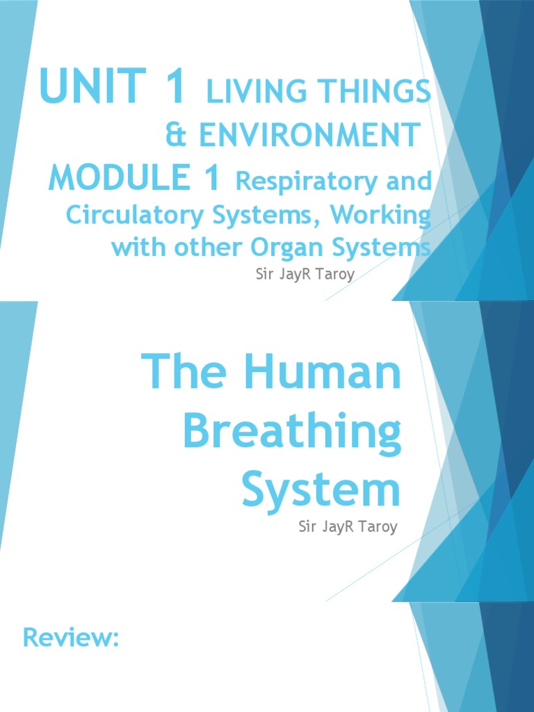 The Human Breathing System | PDF | Respiratory System | Breathing