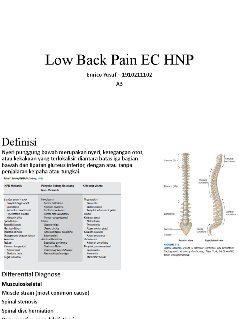 Low Back Pain EC HNP | PDF