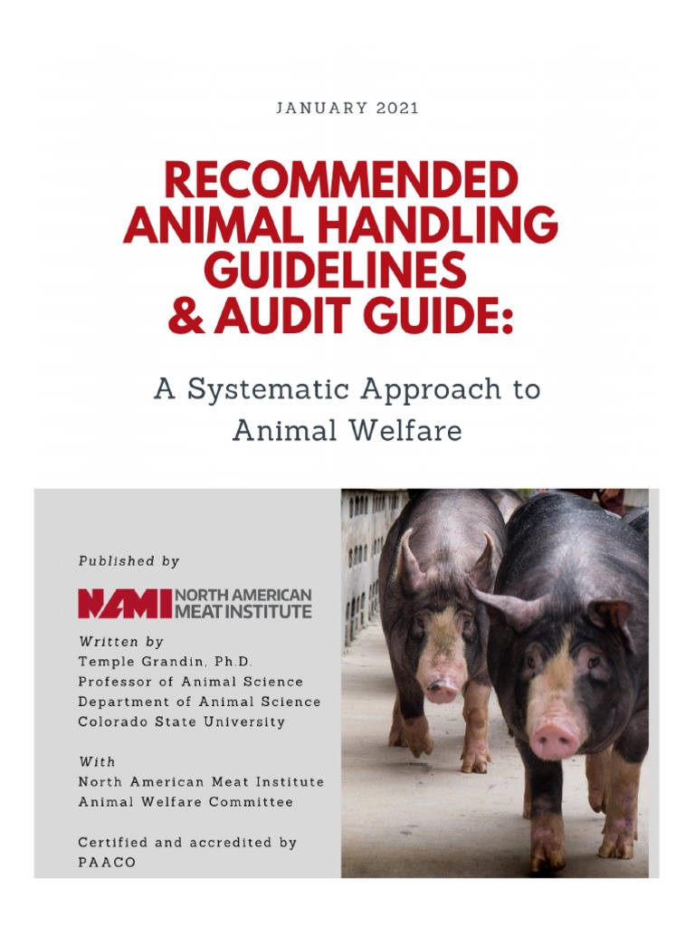 Animal Handling Guide012021 | PDF | Animal Slaughter | Cattle