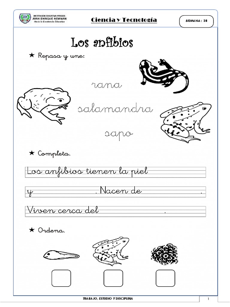 Ficha de Trabajo para Los Anfibios | PDF
