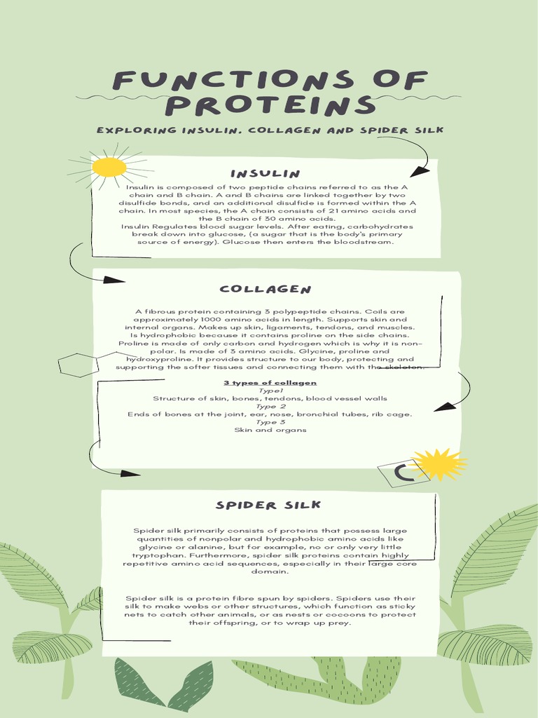 Functions of Proteins | PDF