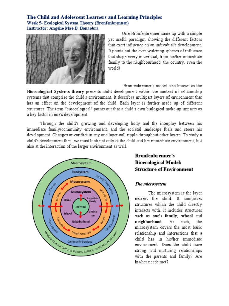 The Child and Adolescent Learners and Learning Principles | PDF | Human ...