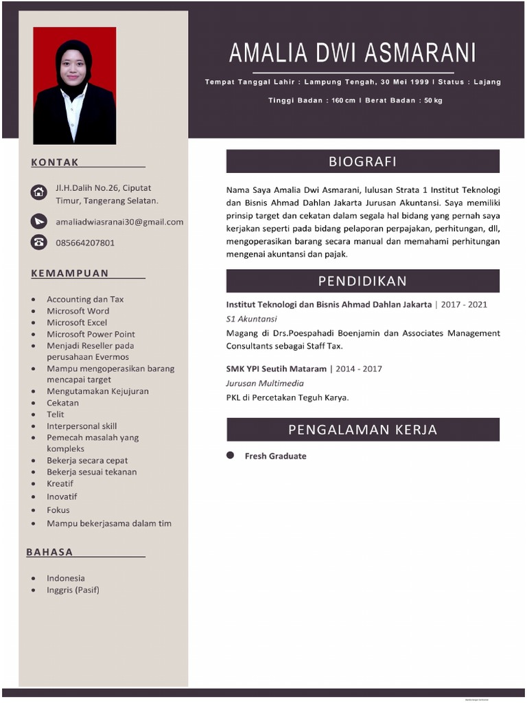 CV Amali | PDF