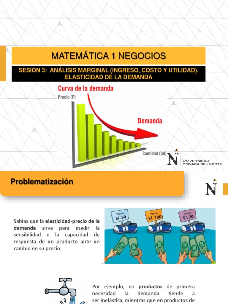 S3 - Análisis Marginal | PDF | Elasticidad (economía) | Ciencias económicas