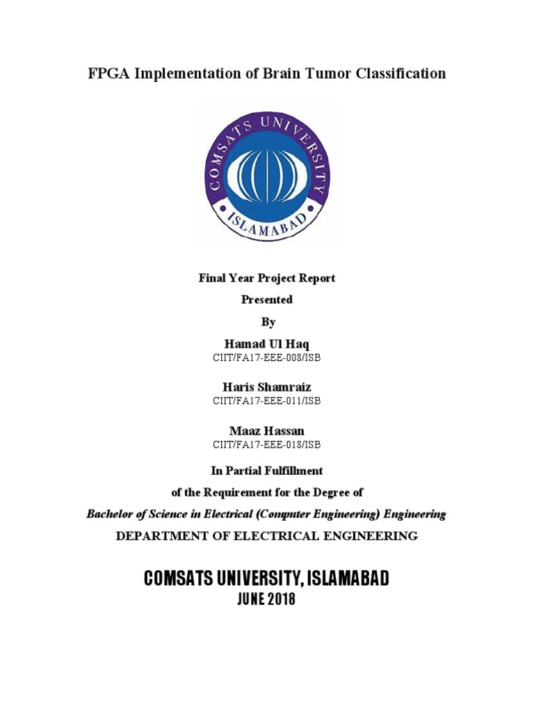 Thesis Final Version | PDF | Visual Cortex | Deep Learning