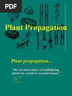 Genbio2 q2 Mod1.1 Reproduction and Development | PDF | Flowers | Sexual Reproduction