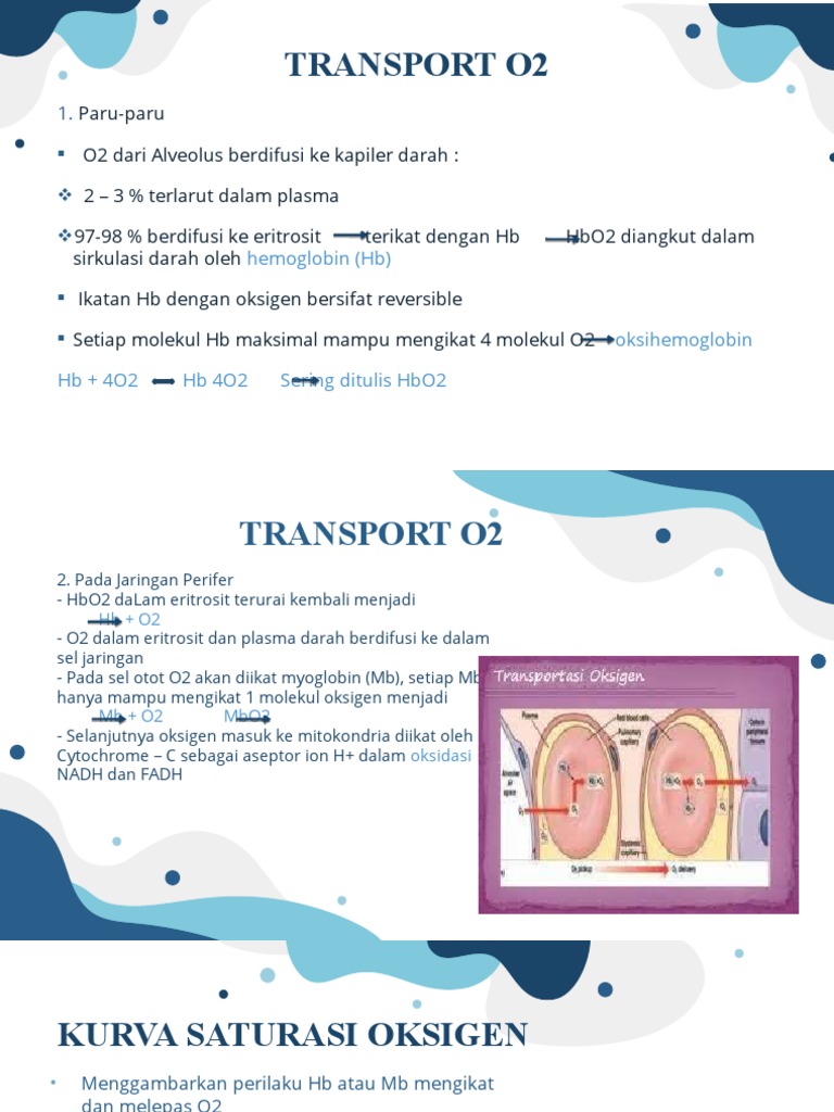 Transport O2 CO2 | PDF