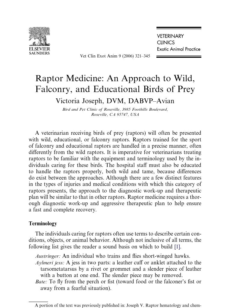 JOSEPH 2006 Raptor Medicine - An Approach To Wild, Falconry, and ...