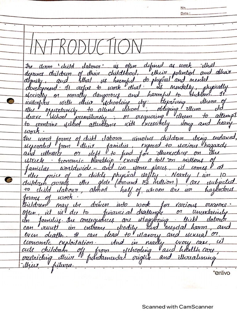 Child Labour Project | PDF