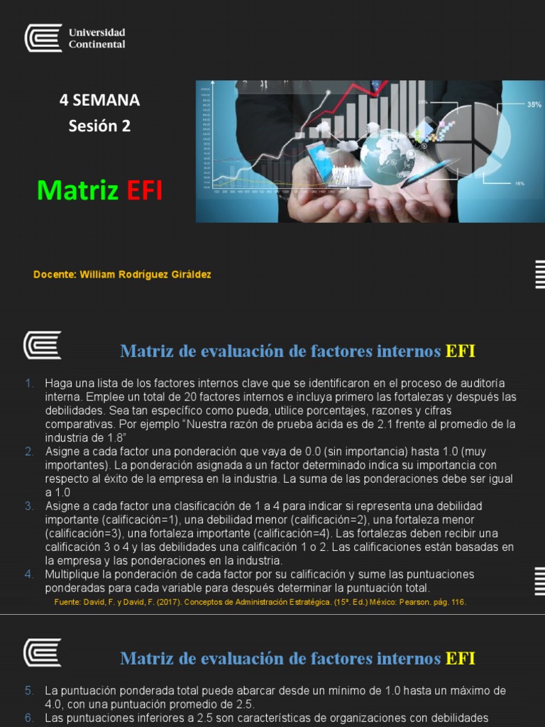 4 SEM Sesión 2 Matriz EFI | PDF