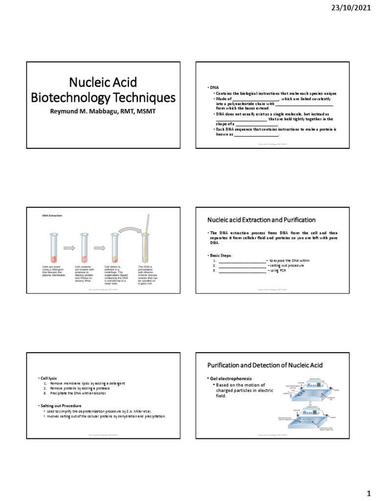 PCR and Electrophoresis Handout | PDF | Gel Electrophoresis | Agarose ...